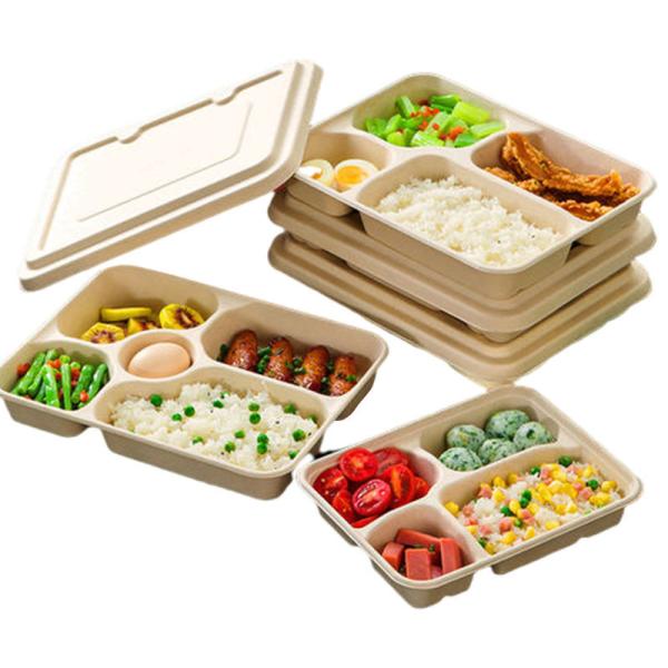 Quality Eco-friendly customized takeaway lunch box biodegradable sugarcane bagasse for sale