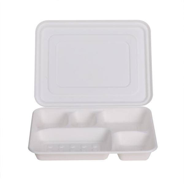 Quality Eco-friendly customized takeaway lunch box biodegradable sugarcane bagasse for sale