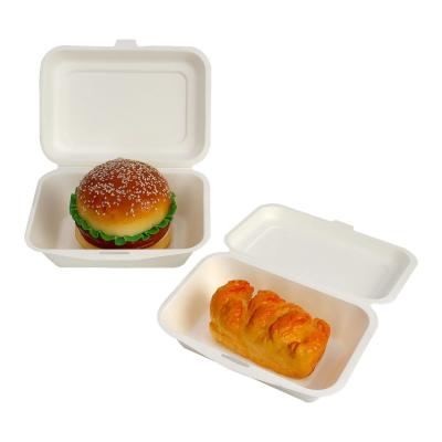 China Customized biodegradable fast food burger box for sale