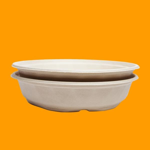 Quality Compostable sugarcane bagasse paper bowl fast food packaging outer box for sale