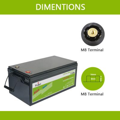 中国 Pvシステムのための12.8v 300ahのリチウム イオン電池Lifepo4電池旅行キャラバン 販売のため