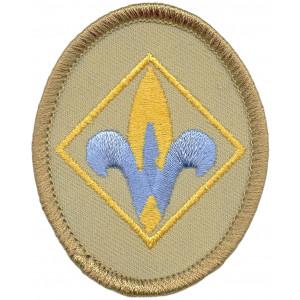 China De stok krimpt Bewijs 3D Padvinder Eenvormig Rank Patches For BSA Te koop