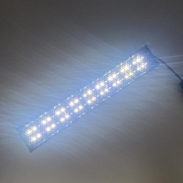 Quality 8W 14W 24W LED UVB Reptile Light UVB LED Strip Reptile Adjustable Spotlight for sale