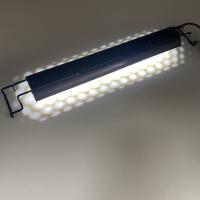 China Timing Function UVB Lamp UVB Light Bulb For Bearded Dragon Turtle Lizard for sale