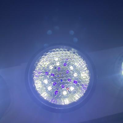 China Full Spectrum Reptile UVA UVB Light For Chameleon 110V-220V for sale