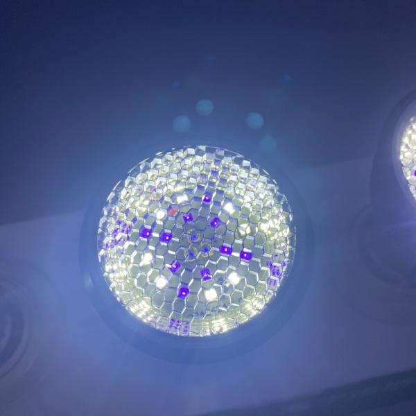 Quality Aluminum Alloy LED UVB UVA Reptile Light Full Spectrum UVA UVB Light for sale