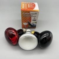 Quality 100 Watt Reptile Heat Bulb For Bearded Dragon UVB UVA Lizard Heat Lamp for sale