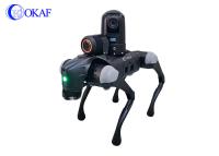 China Intelligence HD AI Camera Security Quadruped Robot Dog for sale