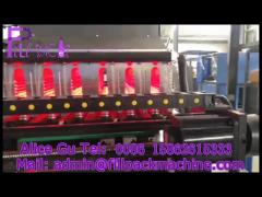 Automatic 6 Cavity PET bottle blow molding machine for Senegal