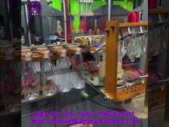 純粋な飲み物/飲むこと/飲用に適した水差しの打撃の製造業機械/装置/ライン/植物/システム
