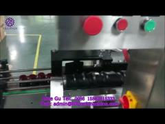 1951 M21 Rotary Automatic 6 kop plastic dop afdekmachine