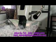 2098 K10 High-Speed Variable-Diameter 4-Cavity Blow Molding Machine