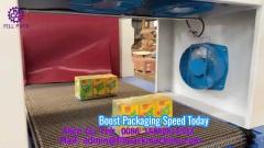 2293 P31 Tetra Pak One-Piece Film Packaging Machine