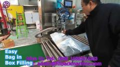 2109 L14 Semi-Automatic Single-Head Bag-in-Box Filling and Sealing Machine