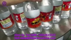 2267 M31 Simple Hot-Melt Labeling Machine
