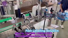 2253 M28 UK Online Conveyor-Type Self-Adhesive Single-Sided Labeling Machine