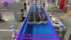 2330 P38 Armenian wide-mouth glass jar + plastic bottle L-type film packaging machine