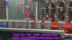 2328 L17 Granulated Beverage Can 36-36-6 Filling and Sealing Machi