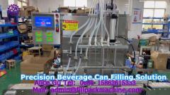 2319 J67 Botswana Floor-standing 4-head Magnetic Pump Beverage Can Filling Machine