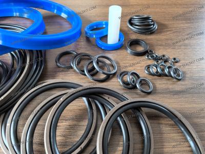 Cina Montabert Tramac V32 Kit di tenuta del rottame idraulico 86612744 122MM in vendita
