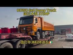 SINOTRUCK Howo Dump Truck 8X4 in Kameroen 375 Tipper Truck met multimedia systeem