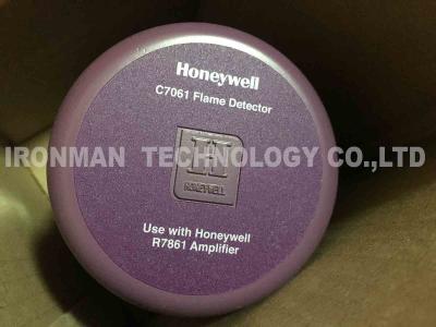 Cina Di fiamme di C7061-A1020 115/230VAC R7861 2.6lb per HONEYWELL in vendita