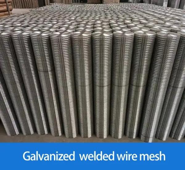 Quality Galvanized Welded Wire Mesh for sale