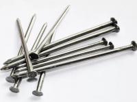 China Common Wire Nails for sale