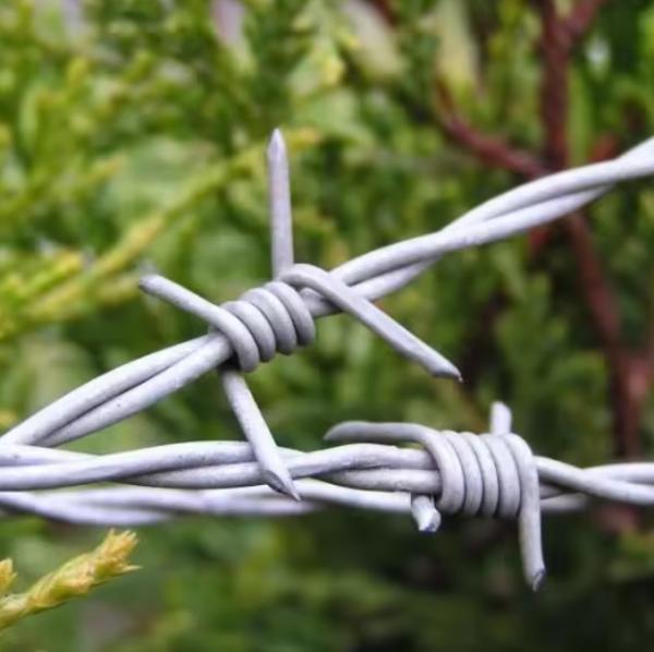 Quality Double Twist Barbed Wire for sale