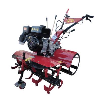 Cina Apparecchiature agricole mini-tiller a trasmissione completa altamente compatte per una capacità di carico di 75 kg in vendita