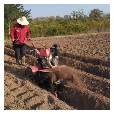 Cina Aumentate l'efficienza agricola con il nostro nuovo Mini Tiller diretto a quattro ruote motrici in vendita