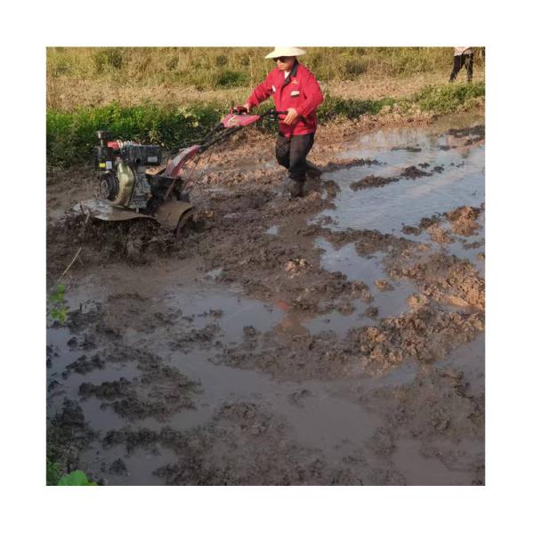 Quality Newly-designed Gear Transmission Four-wheel Drive Mini Rotary Tiller for Home for sale