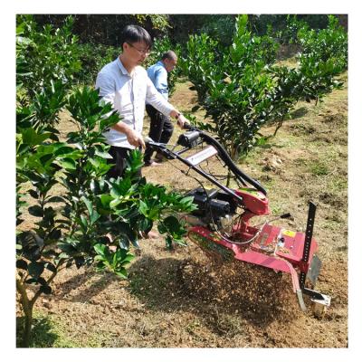 China Verhoging van de vruchtgaardproductiviteit Te koop