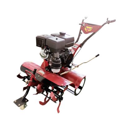 中国 経済的なガソリンエンジンのローータリートリラー 手押し栽培機 販売のため