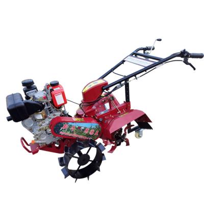Cina Alto livello di sicurezza Macchine per l'agricoltura Macchine per l'erboristeria Motore diesel Mini Tiller in vendita