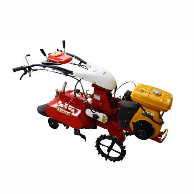 Cina Agricoltura a risparmio di manodopera resa facile con Mini Tiller e larghezza regolabile del terreno da 10 a 40 cm in vendita