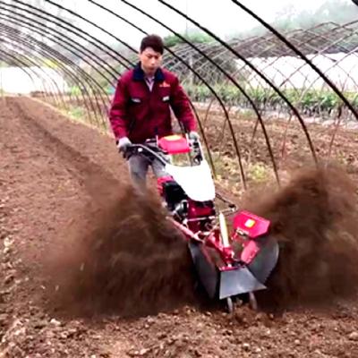 China Mini-Tiller de Desenho Novo e Durável com Transmissão Multipurpose à venda
