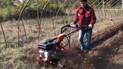 Cina Easy Orchard Start coltivatore a mano con motore diesel e trasmissione in vendita
