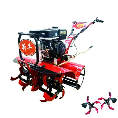 Cina 160*62*108cm Trasmissione a cintura e ingranaggi multiuso 170F Motore a benzina in vendita