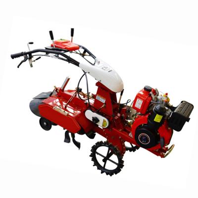 Cina Tiller diesel da 150 kg progettato in modo efficiente per l'efficienza e il risparmio dell'agricoltura in vendita