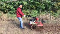 China 7HP Gasoline Engine Hand Held Weeding Machine for 70cm Wide Weeding Applications for sale