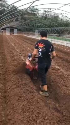 Cina Easy Start Cultivator Mini Tiller per una coltivazione facile e veloce a 4 km/h in vendita