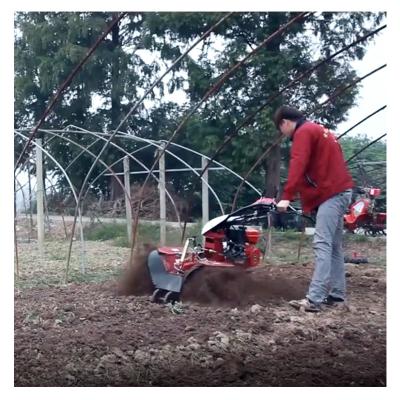 China 150 KG Mini-Tiller Dieselmotor für landwirtschaftliche Anlagen und Grabenmaschinen zu verkaufen