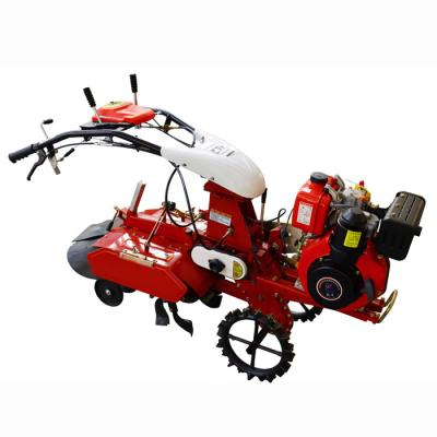 China 150 KG Mini-Tiller Dieselmotor für landwirtschaftliche Anlagen und Grabenmaschinen zu verkaufen