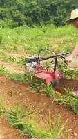 China Multi-purpose Hand Push Cultivator with Gasoline Power Type and 70cm Working Width for sale