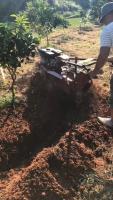 China Multi-purpose Hand Push Cultivator with Gasoline Power Type and 70cm Working Width for sale