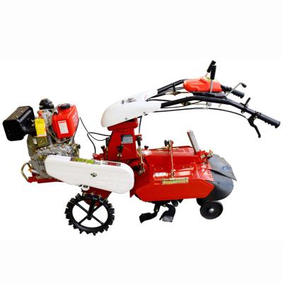 Cina Economical Diesel Agriculture Tiller with Gear Transmission and Chassis Structure (Tiller economico a gasolio per l'agricoltura con trasmissione e struttura del telaio) in vendita
