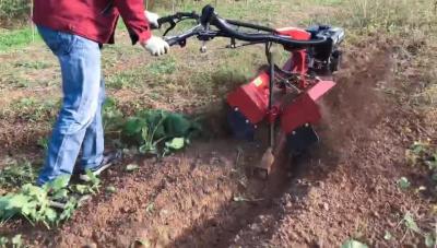 Cina Aggiornate le vostre attrezzature agricole con la tecnologia avanzata del motore a quattro ruote motrici in vendita