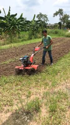 中国 耐久性ガソリンエンジンのミニ栽培機 農業用機械 作業幅45-85cm 販売のため