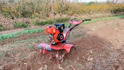 Cina Mini Tiller da giardino da 7 HP coltivatore di fattoria velocità di lavoro di 4 km / h per la massima produttività in vendita